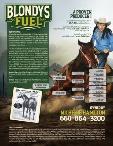Unleashing the Power of Stallion Flyers: How Our Print Ads Design and ...